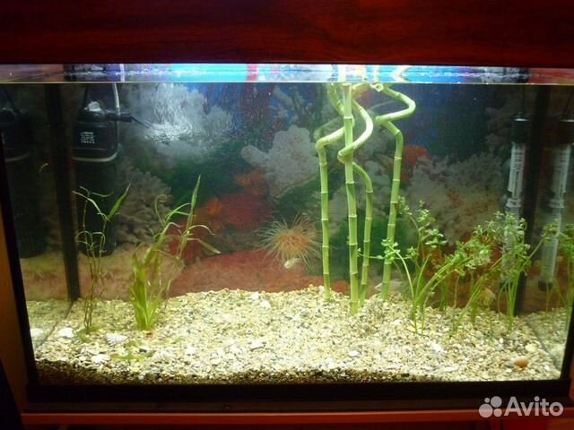 Аквариум 130л c доставкой/ обмен на мебель