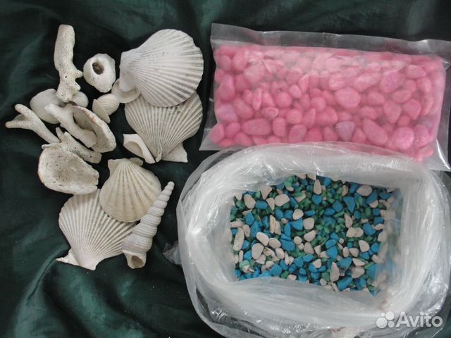 Грунт-камешки, ракушки, кораллы