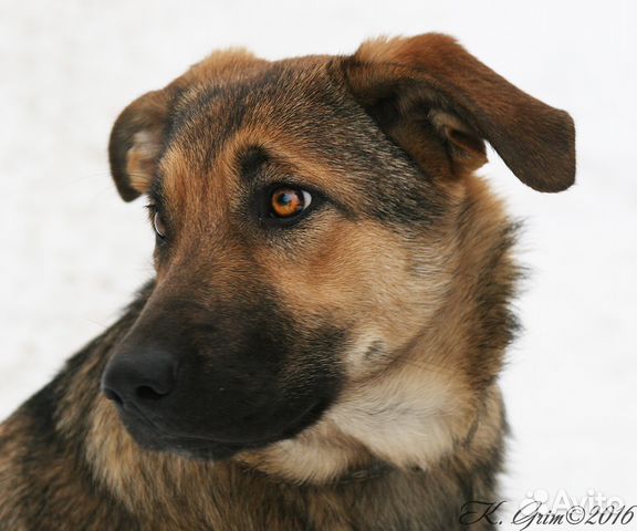 Мотя, нежное и ласковое создание