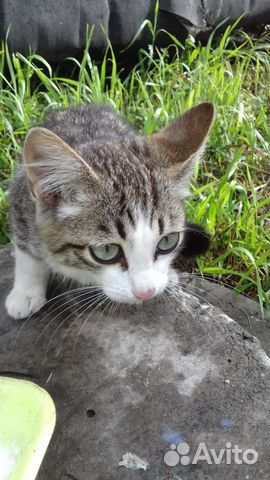 Кузя с огромными глазами