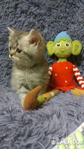 Красавчики
