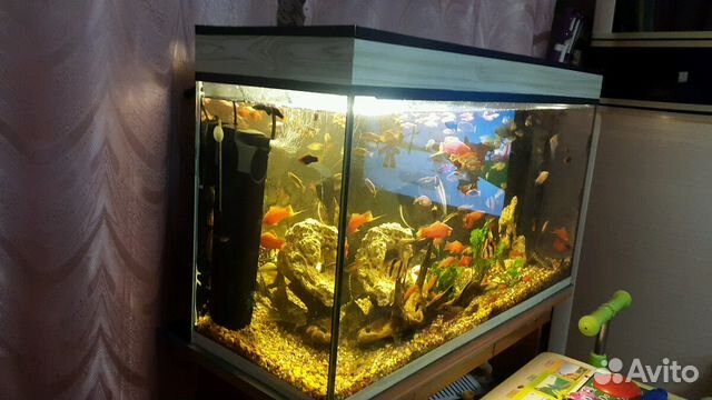 Аквариум100л