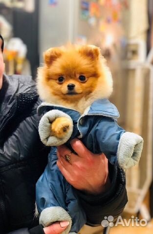 Необыкновенная супер мишка Девочка крошка