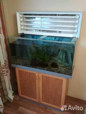 Аквариум (175л)