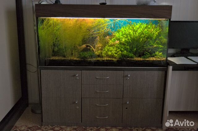 Аквариум-травник 370 литров с тумбой