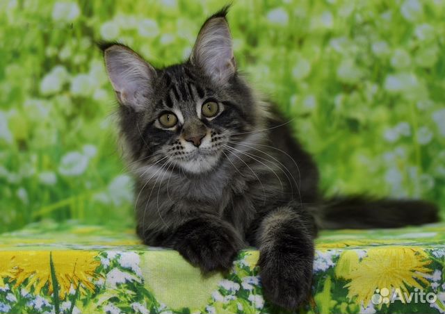 Мраморная красавица