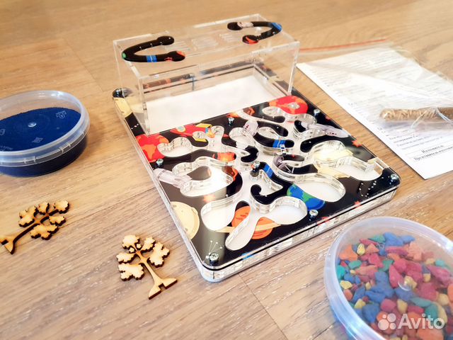 Муравьиная ферма (Формикарий) с муравьями