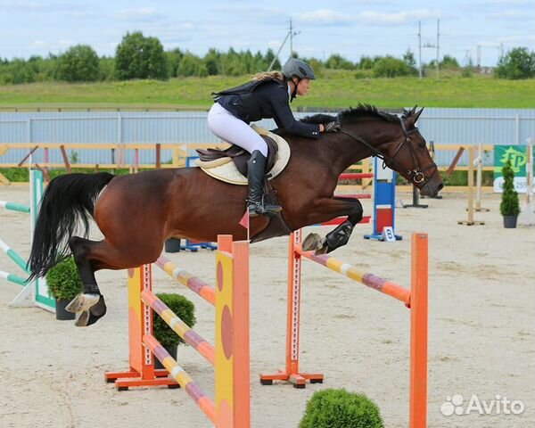 First Contact VH Dravershof