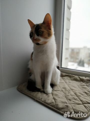 Девочка Ася