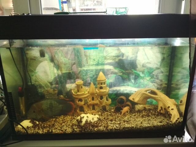 Аквариум 400 литров + аквариум 100 литров