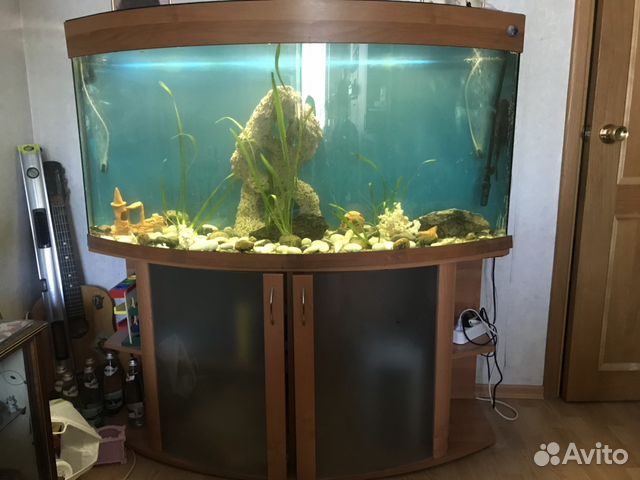 Аквариум 300 литров с тумбой