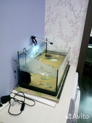 Аквариум терариум