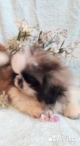 Маленькое "рукавное чудо"