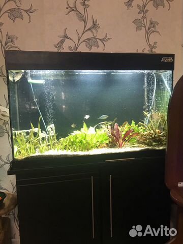 Аквариум