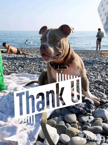 Мальчик ам.булли