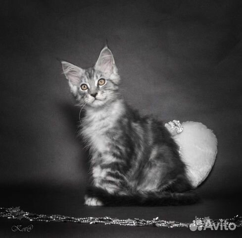 Драгоценный малыш