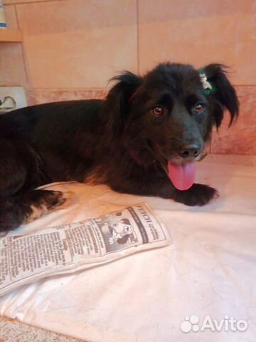 Малышка Чапа, 3 года, 35 см