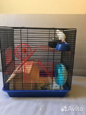 Отдам мыша в хорошие руки