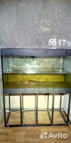 Аквариум 500 л. Экстренно