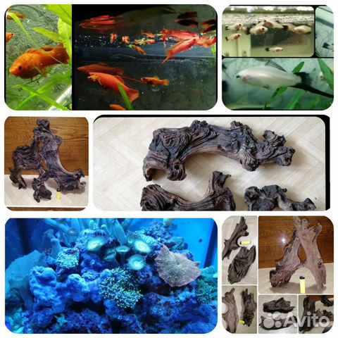 Рыбки,коряги,растения,фильтра,лампы и пр