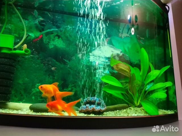Аквариум 70 л