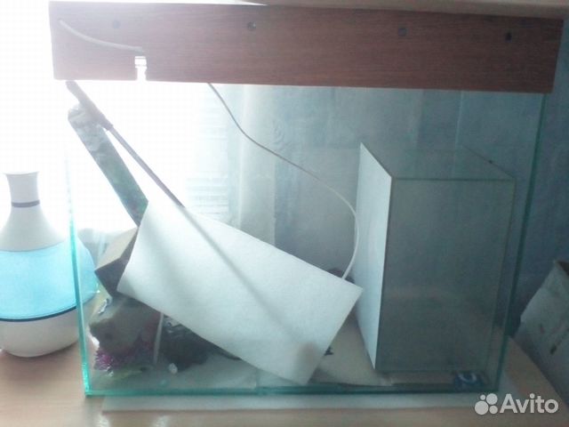 Акавариумы