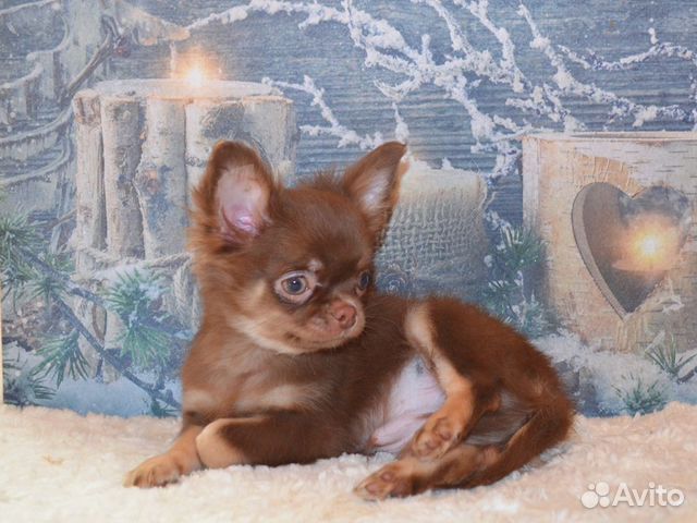 Супер парень