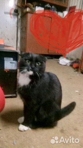 В добрые ручки