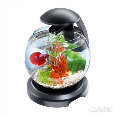 Tetra Аквариум Cascade Globe 6.8 л