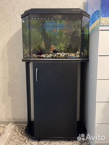 Аквариум 40 л с тумбой