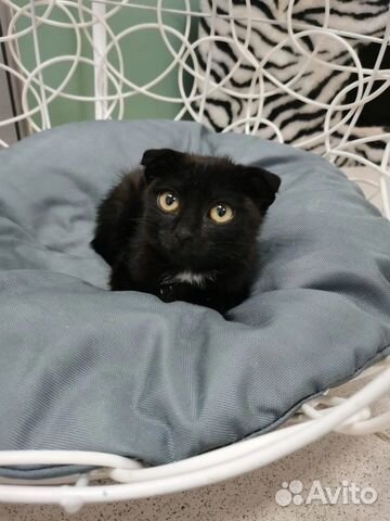 Очаровательная Таисия ищет дом