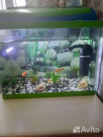 Аквариум