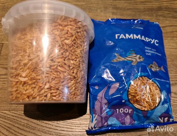 Гаммарус сухой