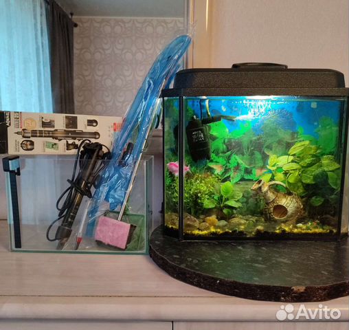 Аквариум 15 л с рыбками