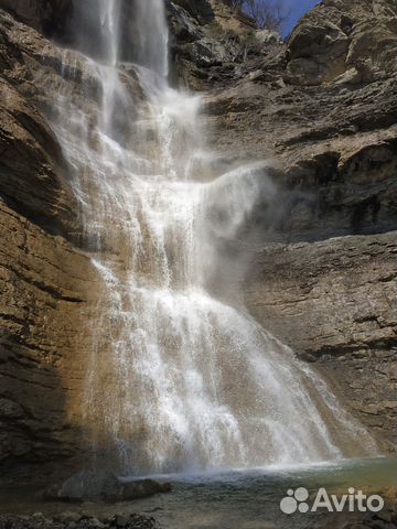 Улитки аквариумные,ампулярии