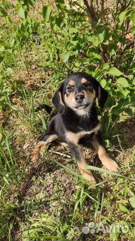 Привет, я Ваша девочка