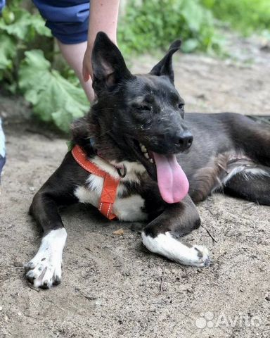 Любопытная молодая малышка в семью