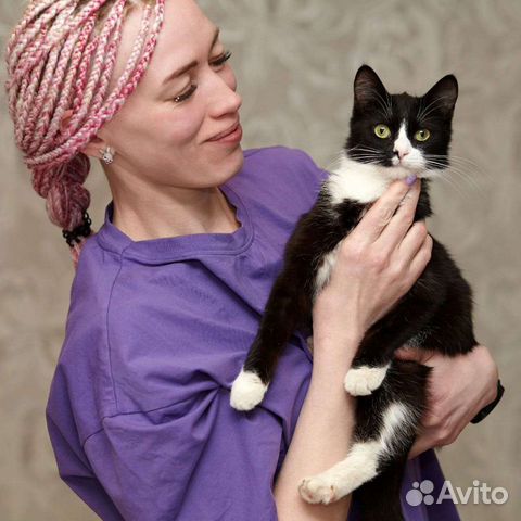 Котята в добрые руки бесплатно