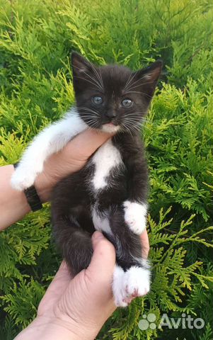 Мальчик с пальчик 1.2 мес