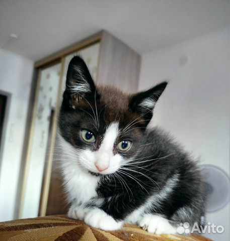 Отдам малыша в заботливые ручки