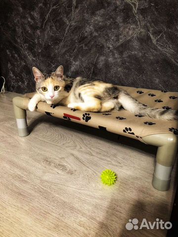 Викюся
