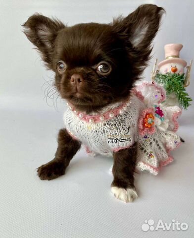 Розали Роуз