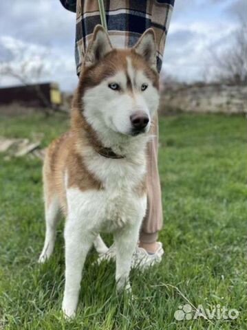 Помогите найти