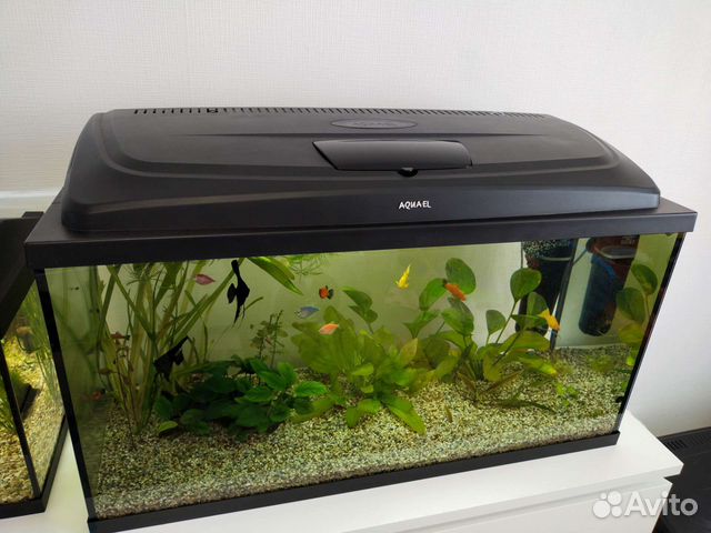 Аквариум aquael