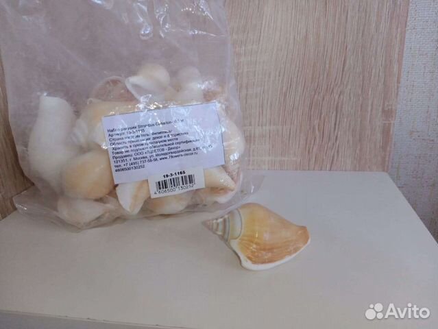 Морские ракушки