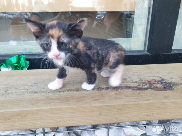 Малышка 1мес и 6 дней