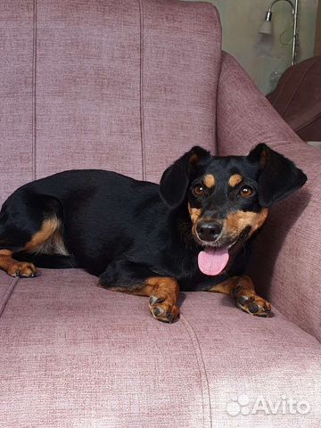 Молодая девочка 7,5 кг