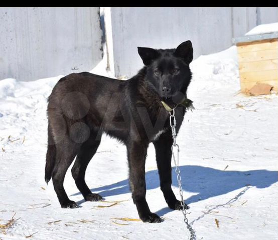 В спокойную семью