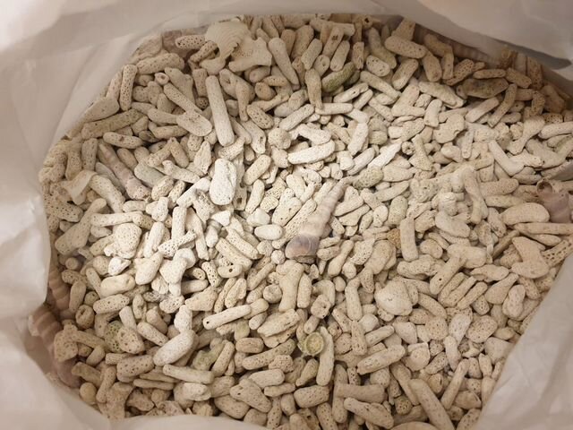 Коралловая крошка