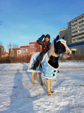 Продам пони